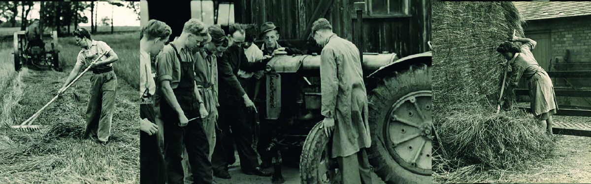 Home - Reaseheath 100