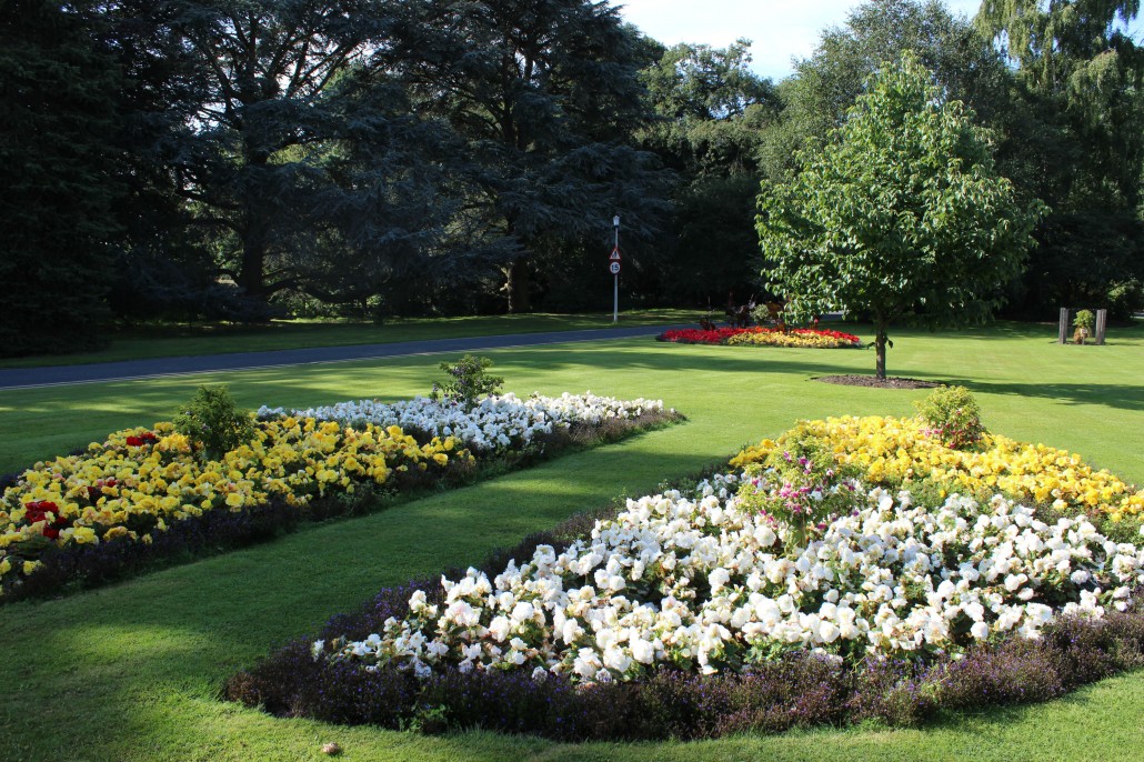 Steven Williams BSc (Hons) Landscape Design and Management, 2011 - Reaseheath 100